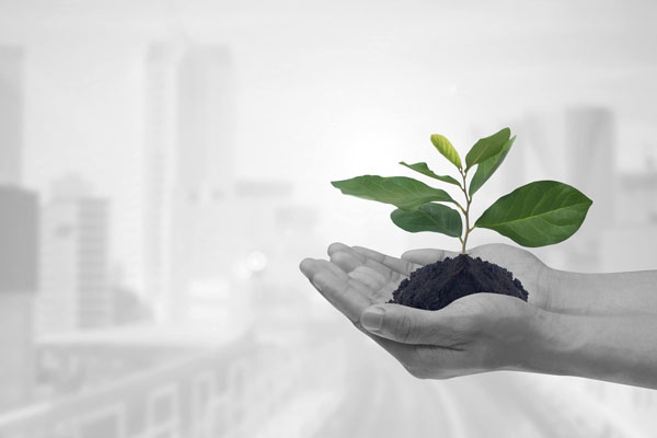 SITIMA Packaging Limited